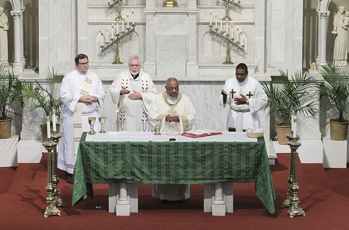 Green Mass reflects on ‘grandeur and goodness’ of God’s creation ...