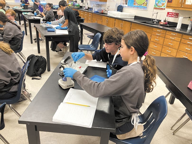 Three schools awarded Cognia STEM certification - Georgia Bulletin ...